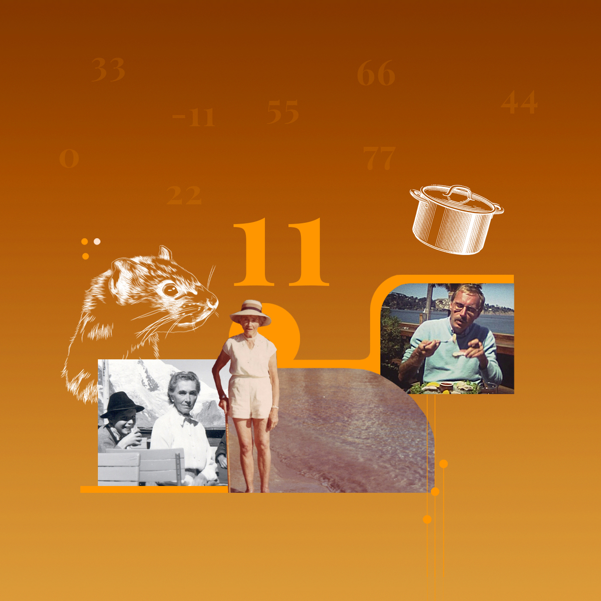 DIE ELF #3.4 | Ahnungen und Gewissheiten